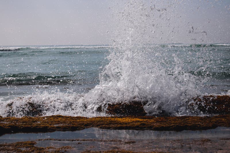 Amazing Shot of the Waves Splashing and Bouncing on the Rocks of the ...