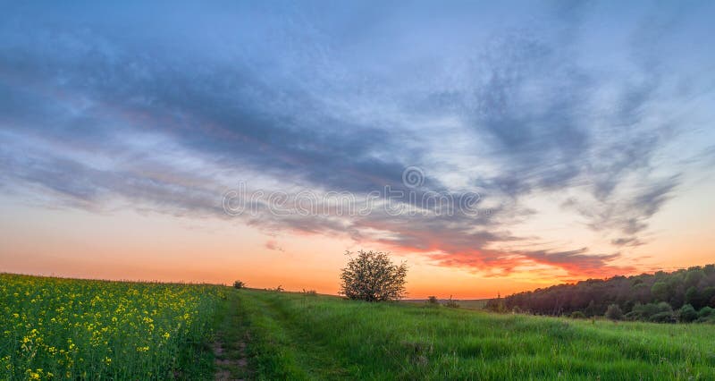 An Amazing Sky in the Colors of the Sunset at the Edge of a Blooming ...