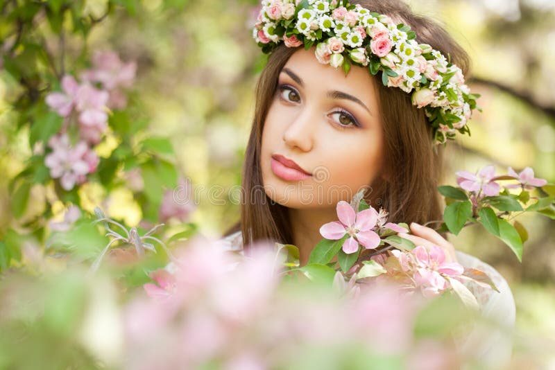 Amazing spring beauty. stock image. Image of pink, attractive - 70065075