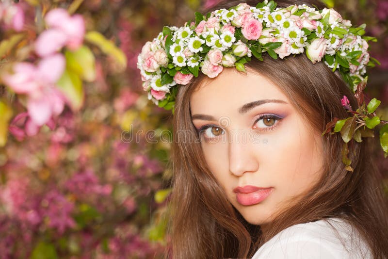 Amazing Natural Spring Beauty. Stock Image - Image of blossom, nature ...