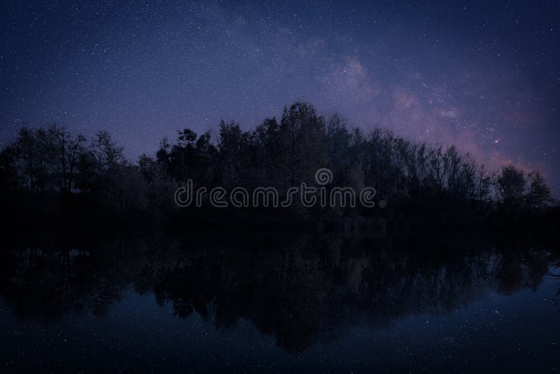 Amazing Starry Sky and Trees Reflecting in Lake at Night Stock Photo ...