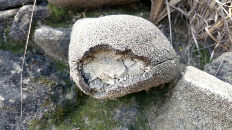 Amazing Stones Shell at Hills Stock Photo - Image of unique ...