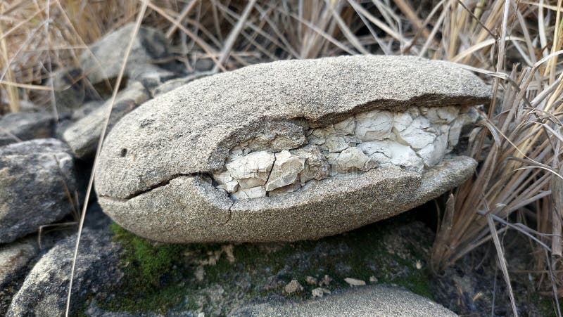 Amazing Stones Shell at Hills Stock Photo - Image of stones, nature ...