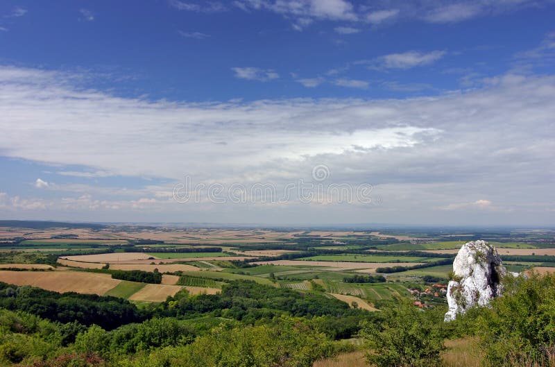 Amazing summer landscape stock image. Image of forest - 9112751