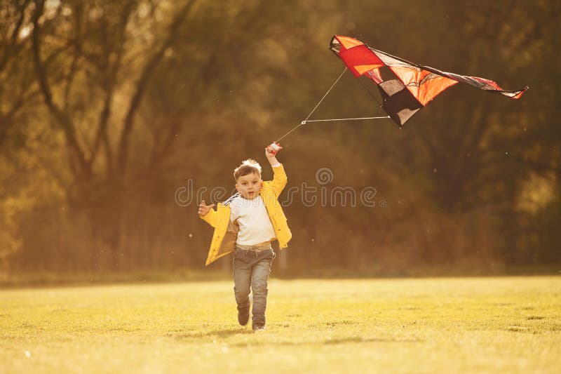 On Green Meadow. Little Boy is Playing with a Kite Stock Photo - Image ...