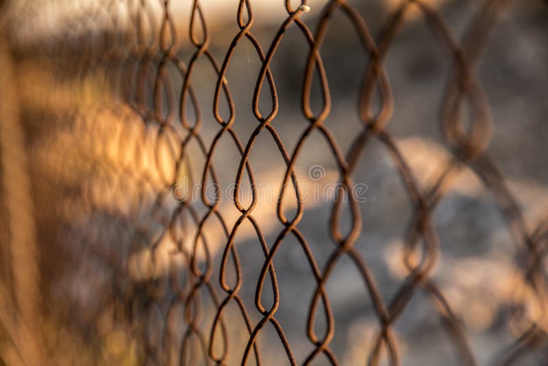 Diffuse Grating Rusty and Abandoned in the Field Limiting a Plot Stock ...