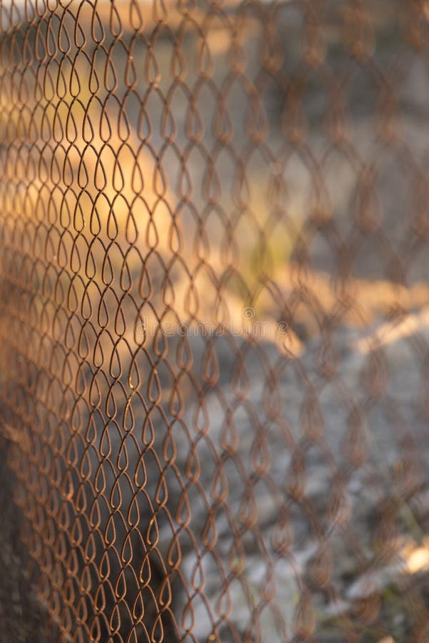 Diffuse Grating Rusty and Abandoned in the Field Limiting a Plot Stock ...