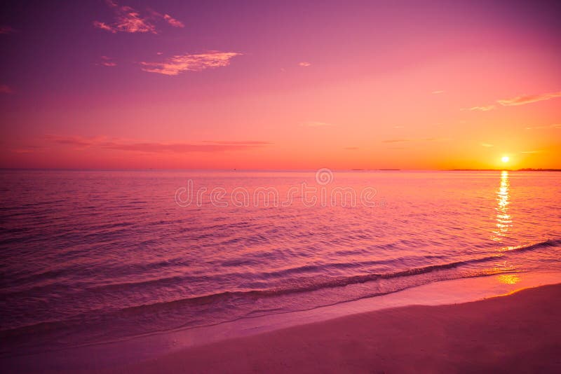 Amazing sunset beach. stock photo. Image of night, amazing - 80186400