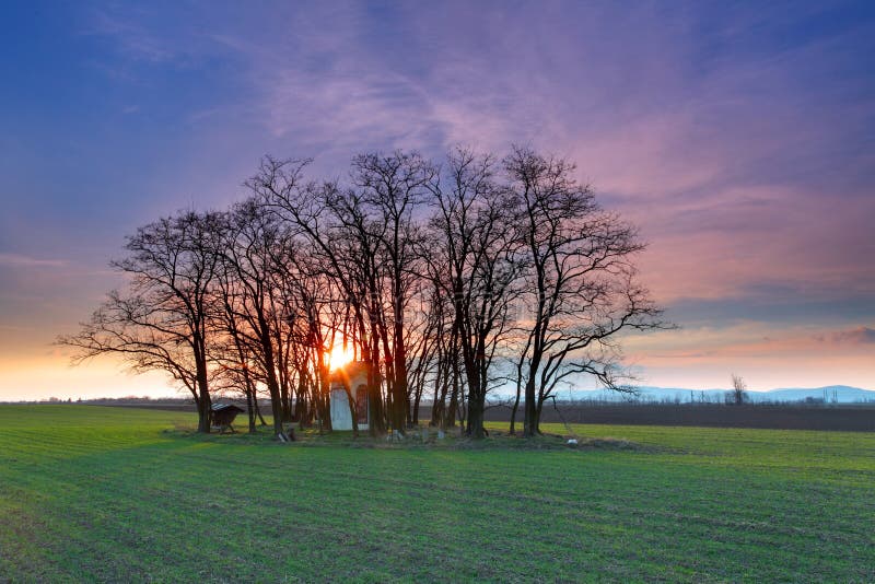 Amazing sunset on field stock photo. Image of meadow - 18956408