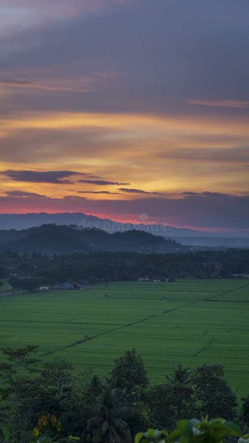 Amazing Sunset in the Field in Indonesias Stock Photo - Image of field ...