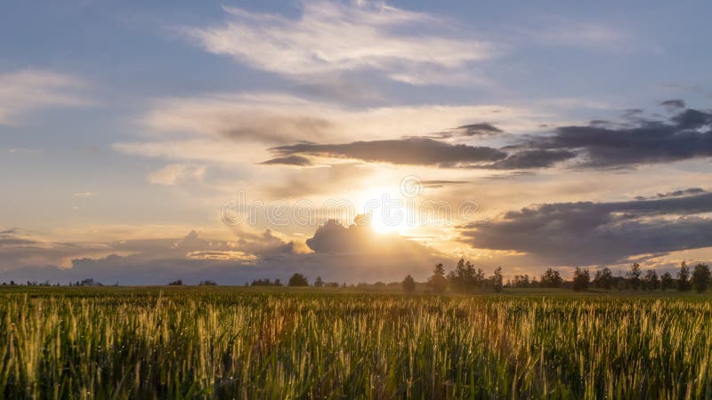 Amazing Sunset Over the Field Stock Photo - Image of bright, rural ...
