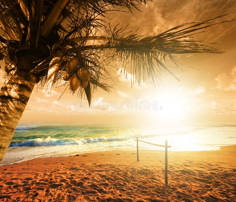 Amazing sunset stock photo. Image of beach, ocean, tranquil - 34245534