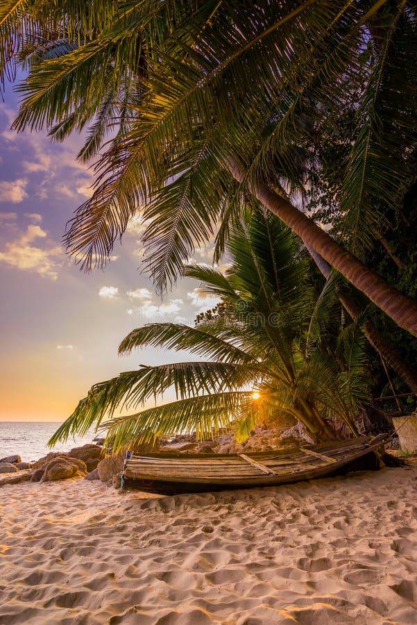 Sunset at the Tropical Beach Stock Photo - Image of beach, coast: 137567250
