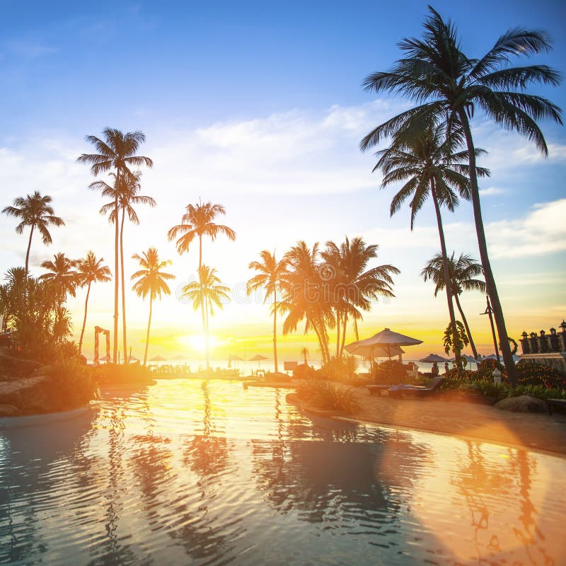 Amazing Sunset On The Tropical Ocean Beach. Travel. Stock Photo - Image ...