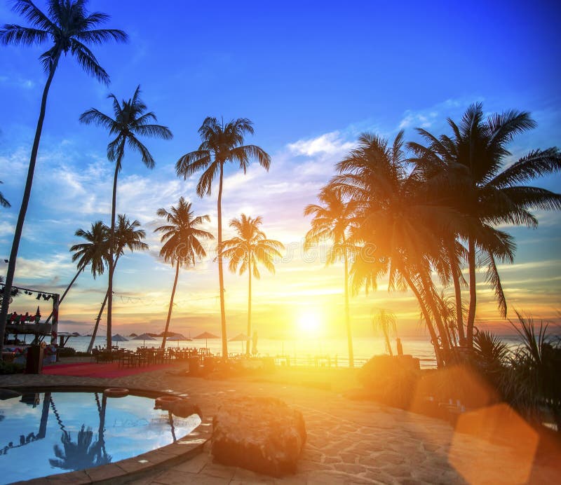 Amazing Sunset on the Tropical Ocean Beach. Vacation and Leisure ...
