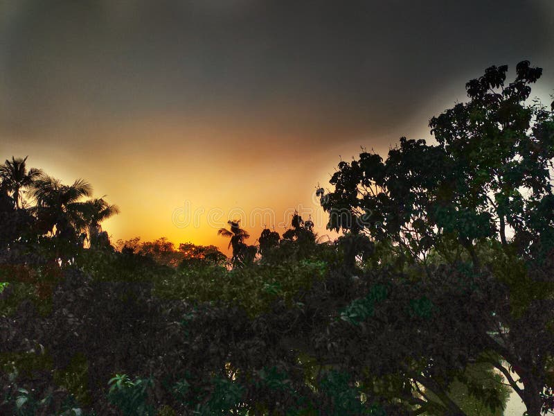 Amazing sunset view stock photo. Image of leaf, night - 178324756