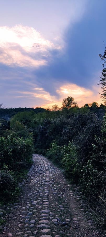 An Amazing Sunset View from Middle of JungleWallpaper Stock Photo ...