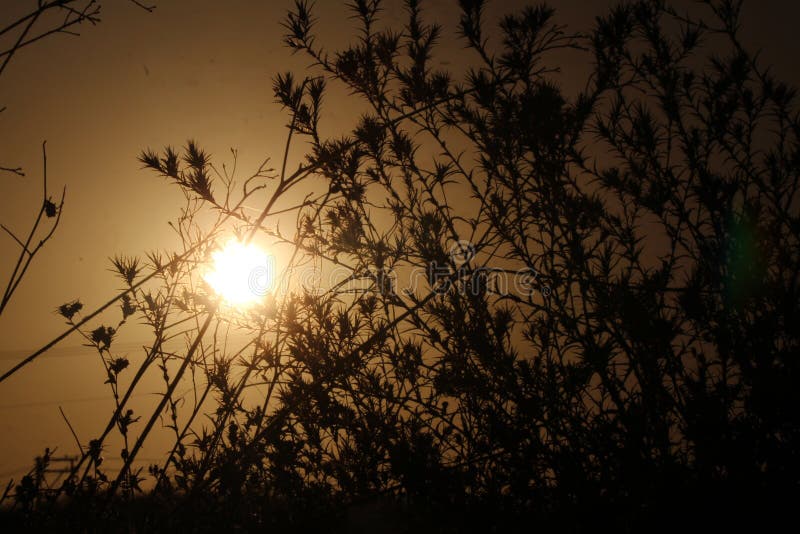 Amazing Sunset View Sky with Beautiful Trees Stock Photo - Image of ...