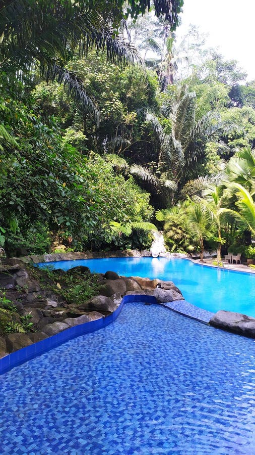 The Amazing Swimming Pool. they Looks so Fresh and Clean Stock Image ...