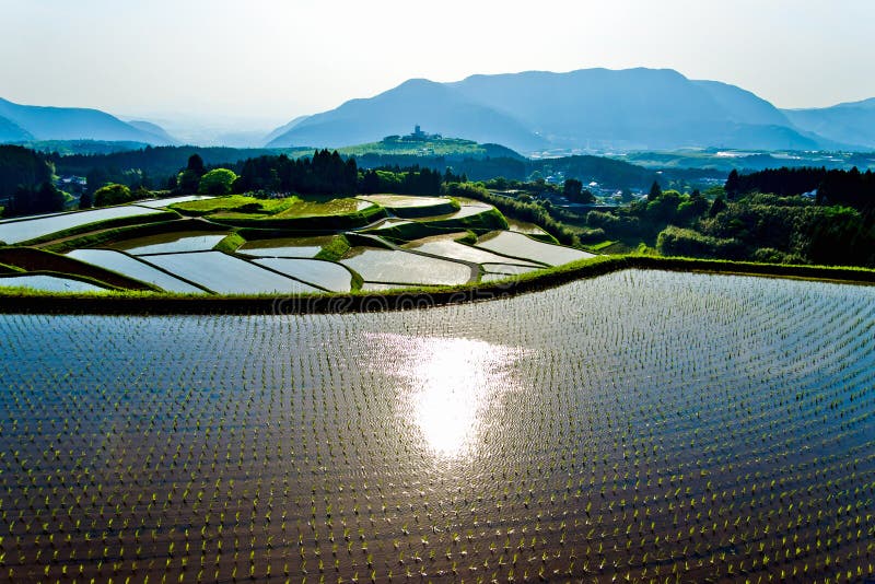 Amazing Terraced Rice Fields in Japan Kyushu Stock Image - Image of ...