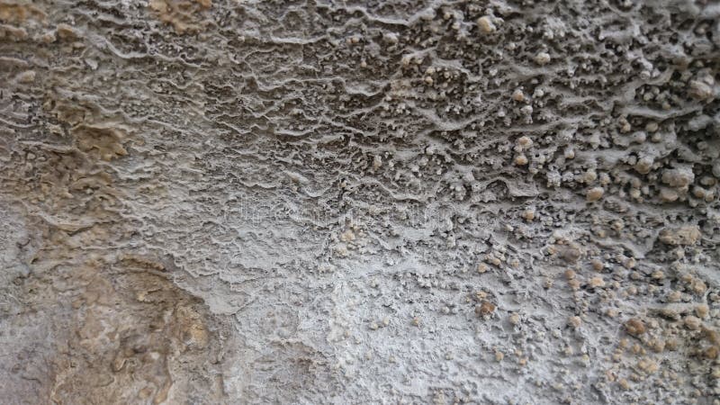 An Amazing Texture of Moss Dead Stock Photo - Image of colors ...