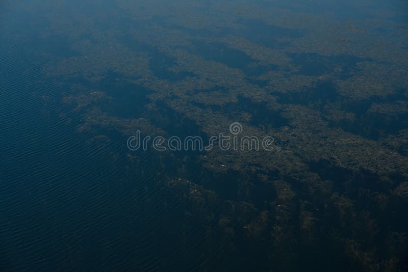 Texture of the Wavy Blue Water Surface of the Lake, with Green Grass ...