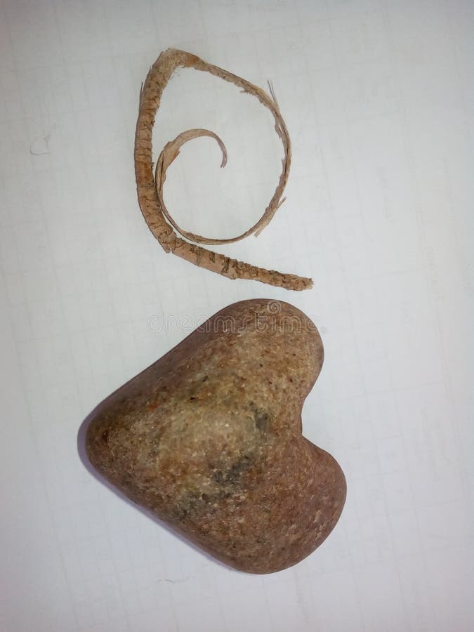 Amazing things in nature stock photo. Image of picked - 157002468