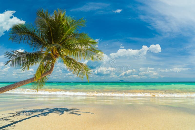 Amazing Tropical Beach Landscape Stock Photo - Image of island, cloud ...