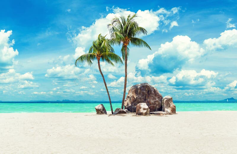 Amazing Tropical Beach Lanscape Stock Image - Image of white, sand ...