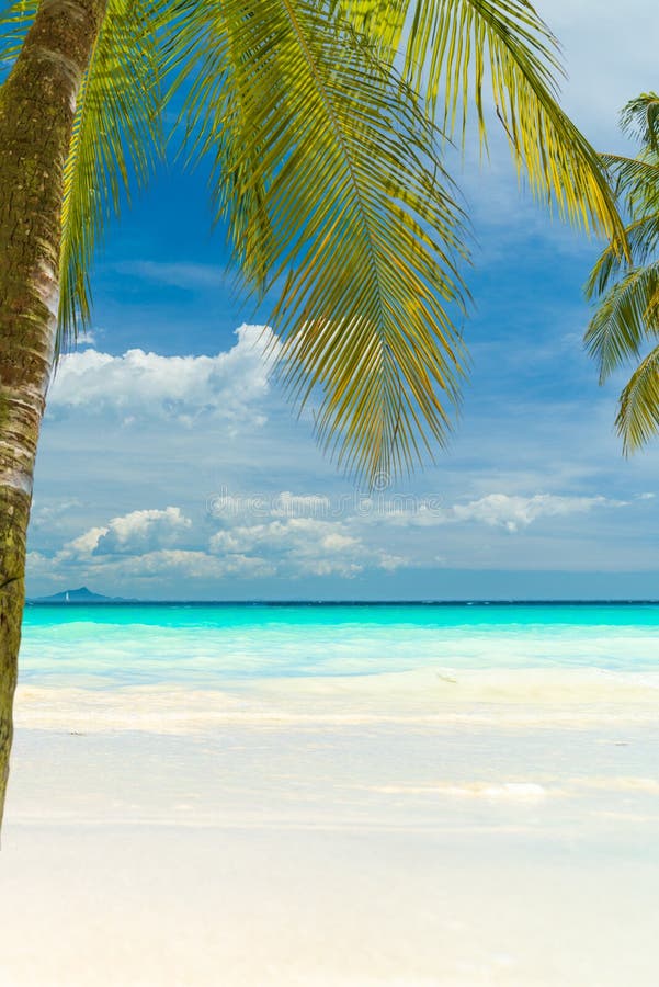 Amazing Tropical Beach Lanscape Stock Photo - Image of water, landscape ...