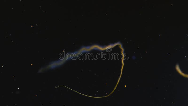 Underwater Scene with Floating Particles Plankton and Tiny Marinelife ...
