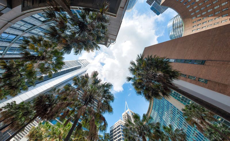 Amazing Upward View of Sydney Skyline Stock Photo - Image of downtown ...