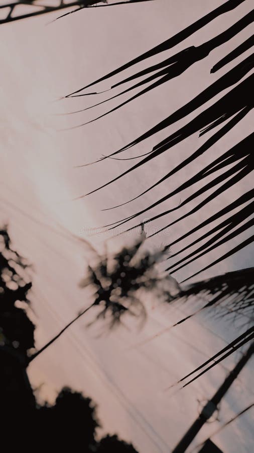 Amazing Vibes on the earth stock photo. Image of branch - 208868122