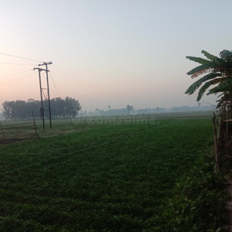 Amazing view of bihar stock photo. Image of party, angel - 241276706