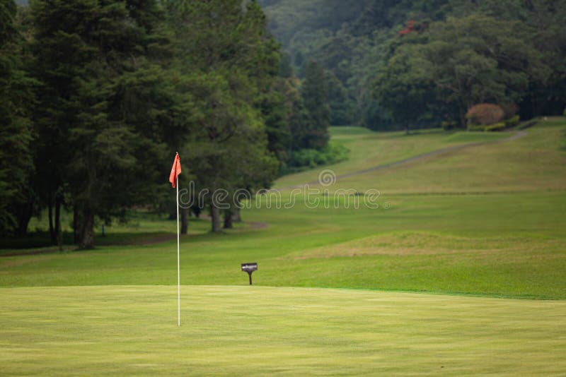 Amazing Golf Hole stock photo. Image of country, sport - 7517580
