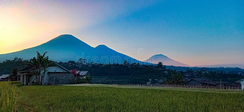 An Amazing View of Mount Sindoro, Sumbing, and Flowers in the Morning ...