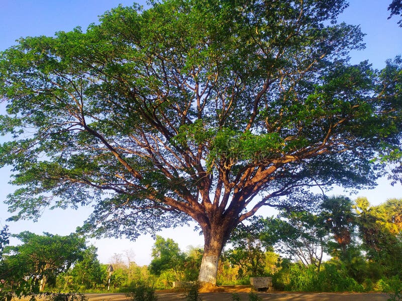 The Amazing View of Sun in Afternoon. Stock Image - Image of amazing ...