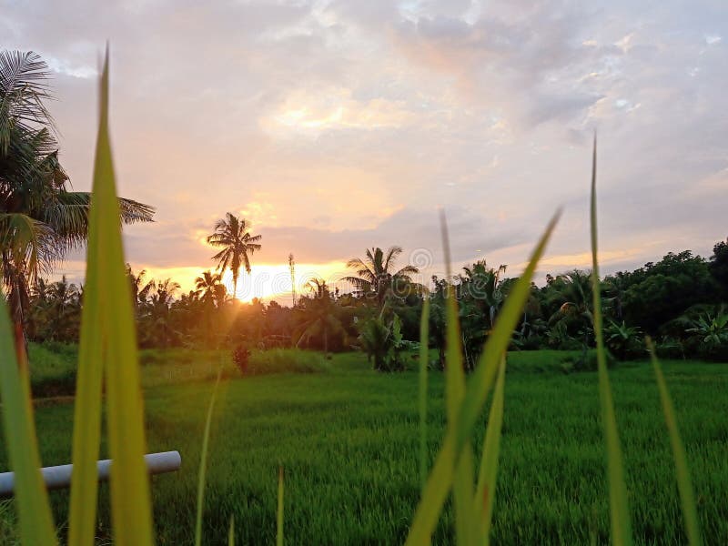 Amazing View Sunset at Village Stock Image - Image of atvillage ...