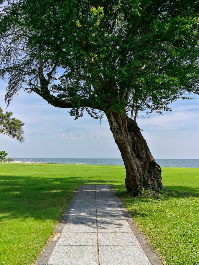 Amazing View of Walk Way To the Beach on Ocean Background Stock Image ...