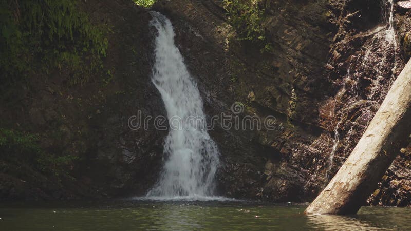 Amazing View of a Waterfall in the Middle of the Rainforest Stock Video ...