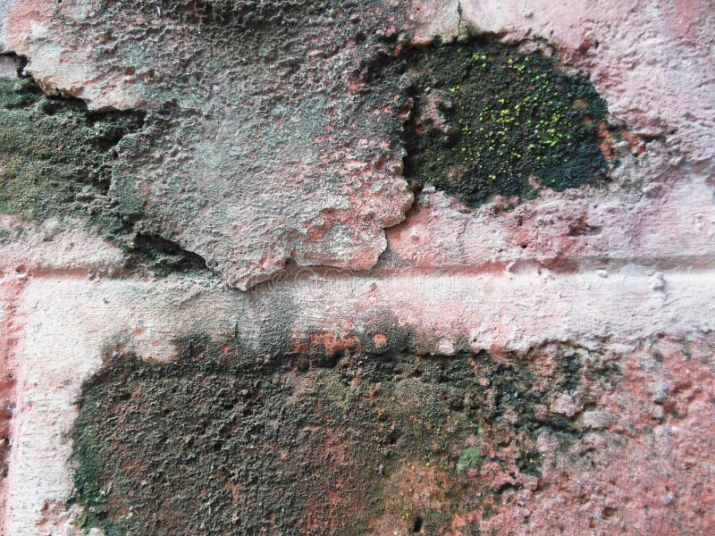 Abstract Wall Surface stock image. Image of wall, surface - 123354807