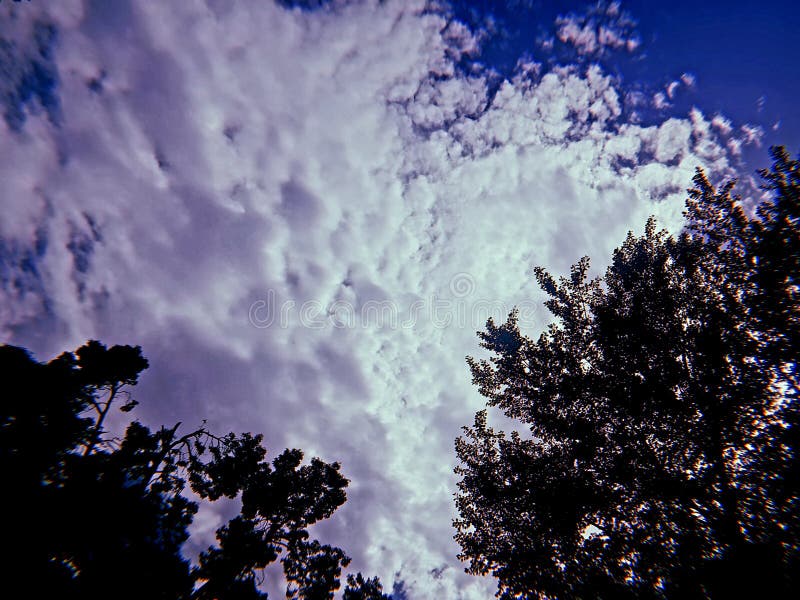 Amazing Warm blue sky stock illustration. Illustration of tree - 193969754