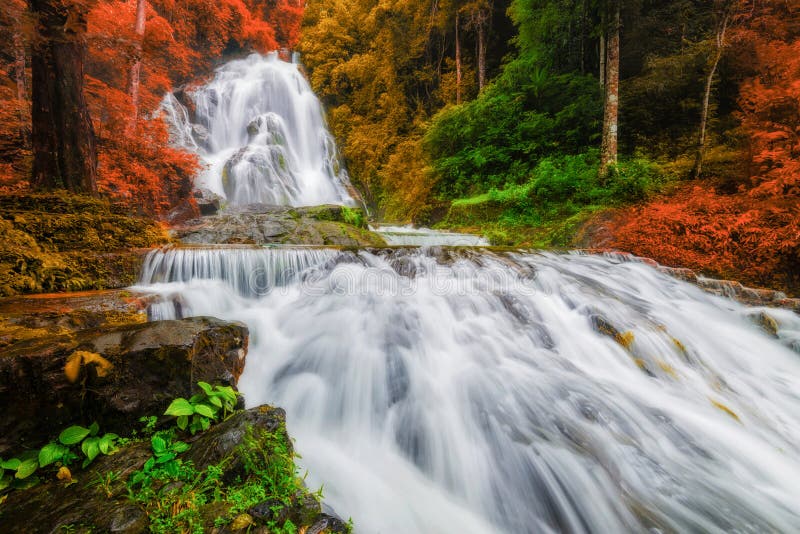 Amazing waterfall stock photo. Image of cascade, conserve - 92137262
