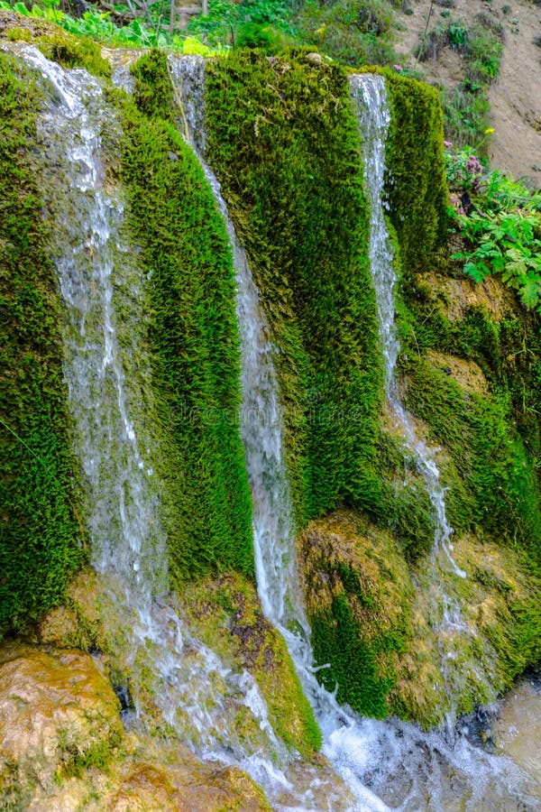Amazing waterfall stock photo. Image of freshness, light - 80626588