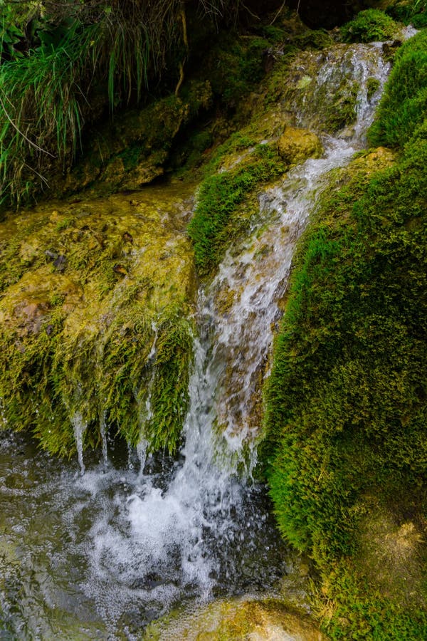Amazing waterfall stock image. Image of flowing, energy - 80628061