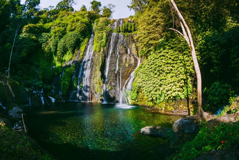 Amazing Waterfall with Tropical Plants Stock Image - Image of bali ...
