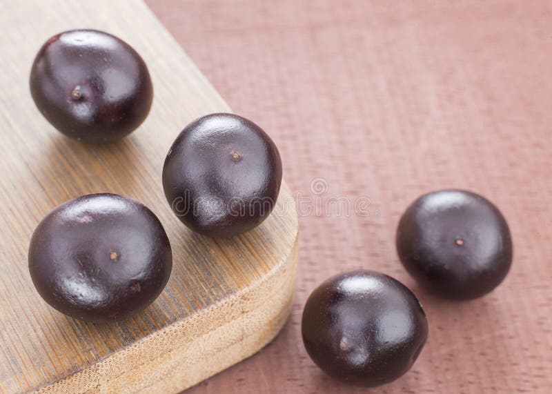 The Amazon Acai Fruit Euterpe Oleracea Stock Photo - Image of amazon ...