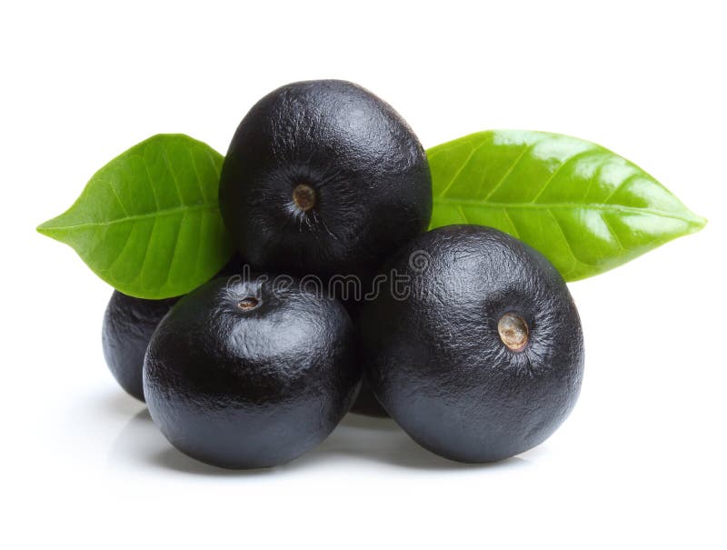 Amazon Acai Fruit with Leaf Stock Photo - Image of fruit, agriculture ...