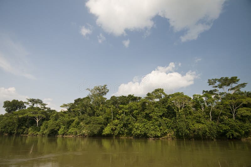 Amazon basin stock image. Image of color, colorful, nature - 8346487