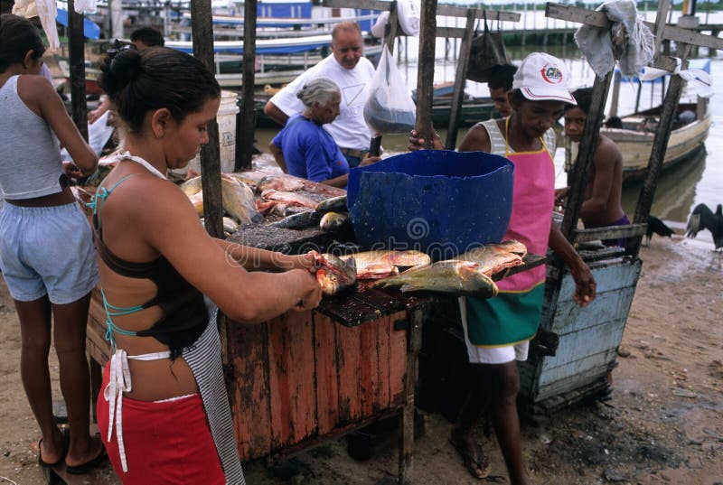 Amazon Basin editorial photography. Image of america - 23419622